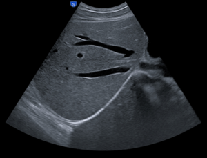 SASET|HEALTHCARE - SASET|HEALTHCARE